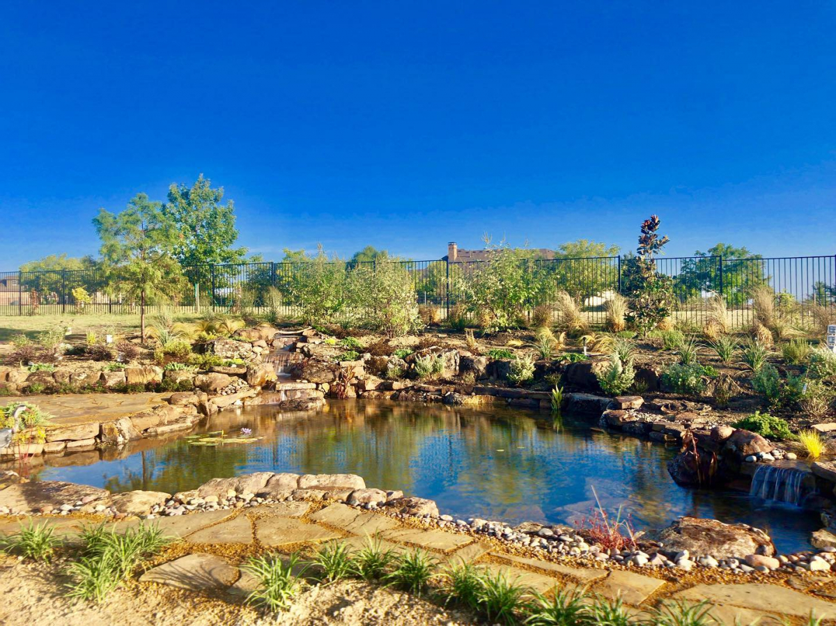 Pond Pricing Page | FNC PONDS